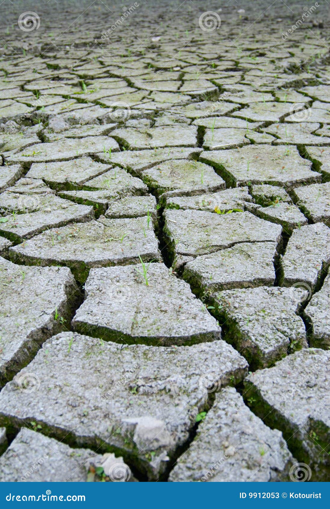 Tierra seca imagen de archivo. Imagen de grieta, desierto - 9912053