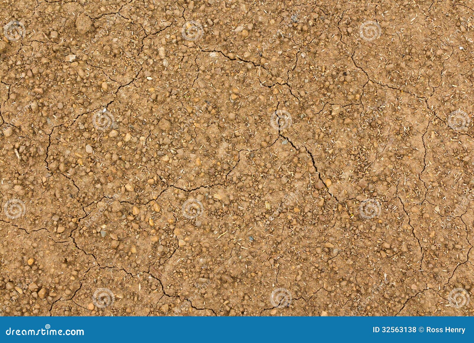 Tierra Sembrada Agrietada Seca Foto de archivo - Imagen de muerto ...