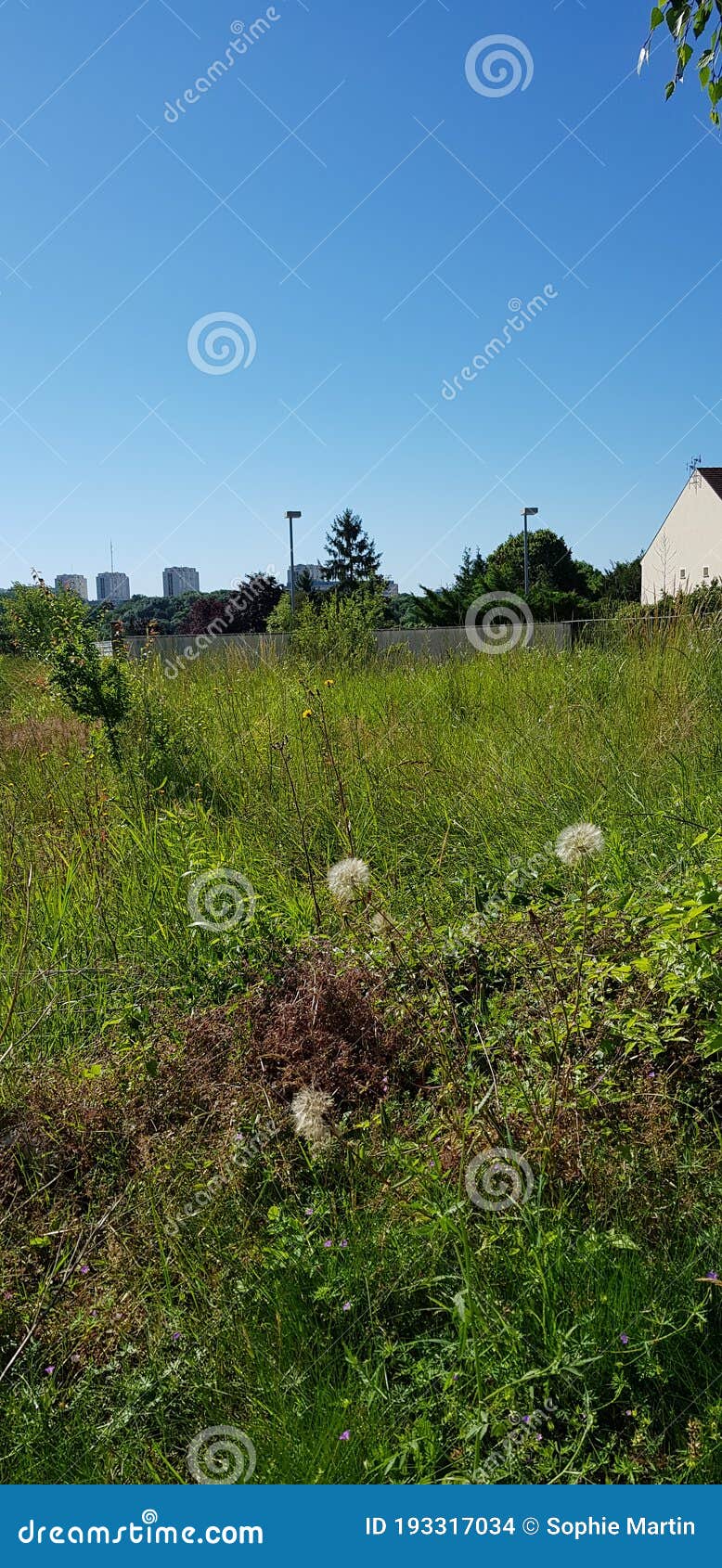 Tierra y pasto foto de archivo. Imagen de cubo, planta - 193317034
