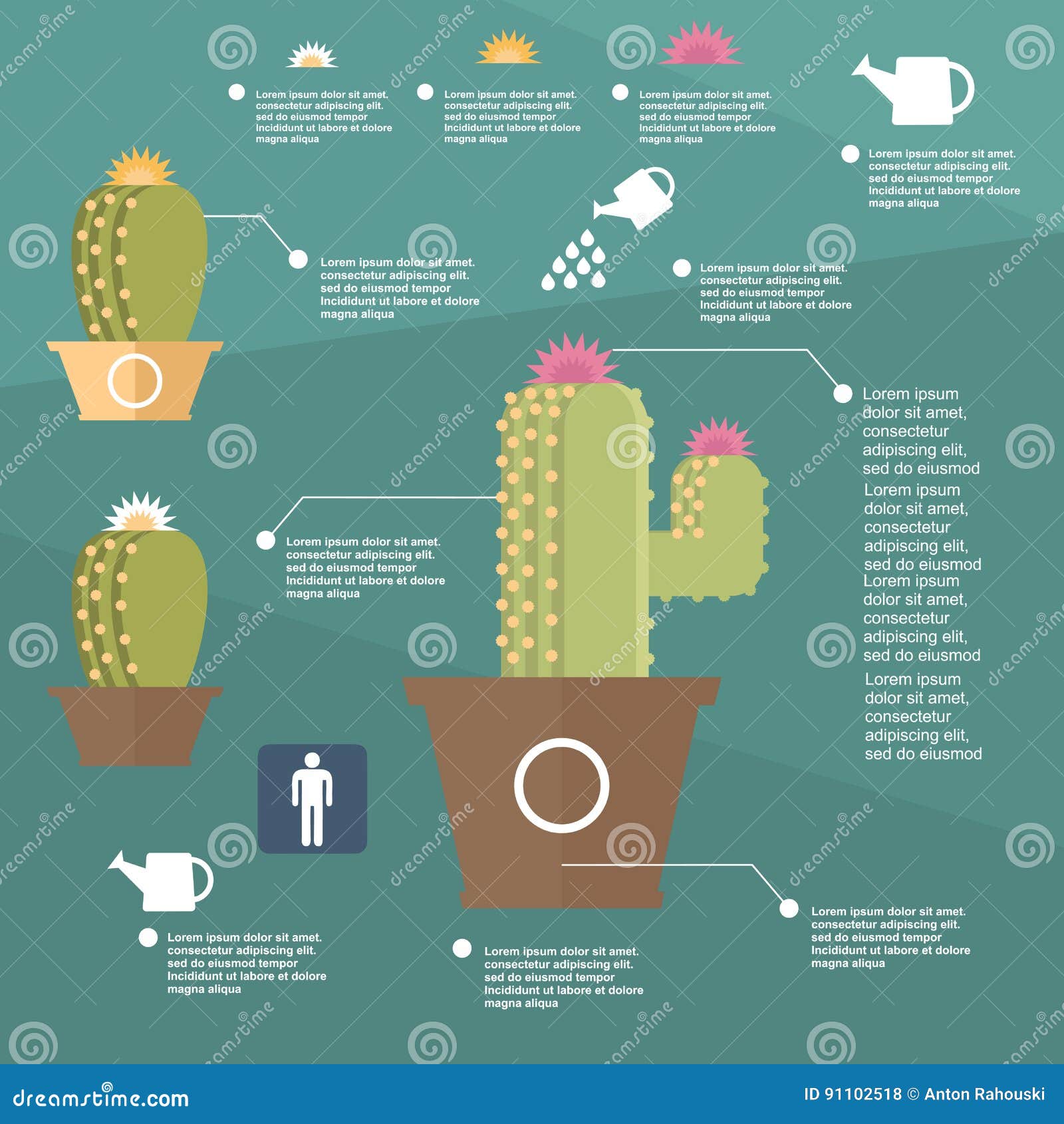 Tierzucht Infographic, Landwirtschaft, Flaches Design, Elemente Stock ...