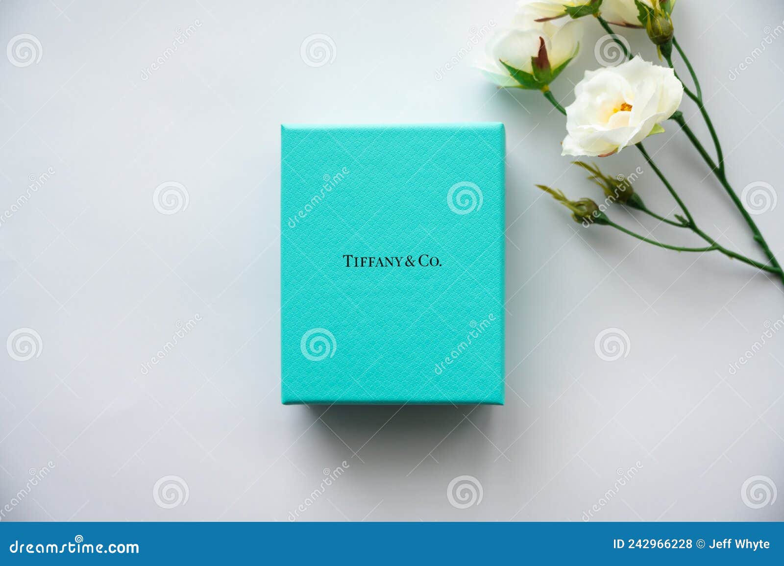 Tiffany & Co. Gift Boxes Editorial Photo | CartoonDealer.com #242966247
