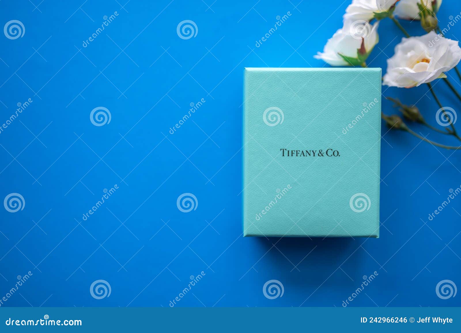 Tiffany & Co. Gift Boxes on Blue Editorial Photo - Image of posh, jewel ...