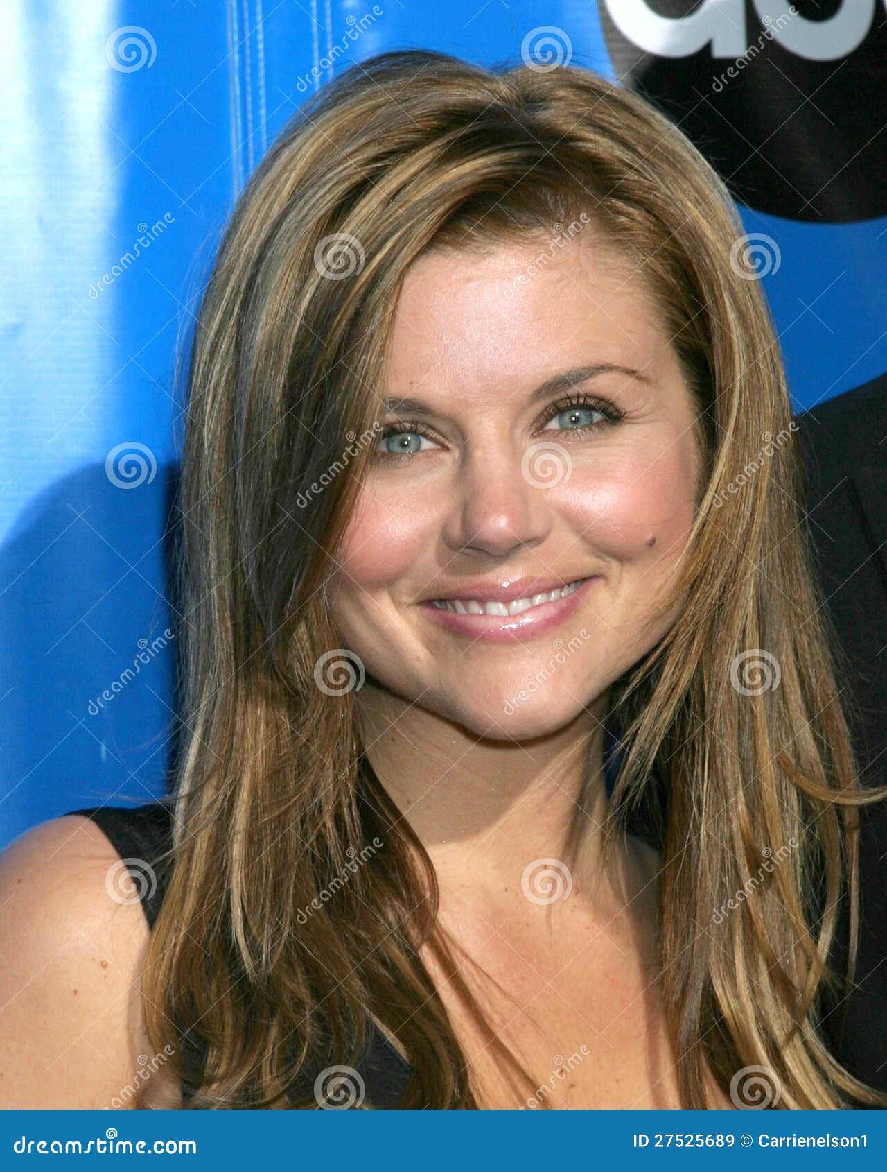 Tiffany Theissen immagine stock editoriale. Immagine di hotel - 27525689