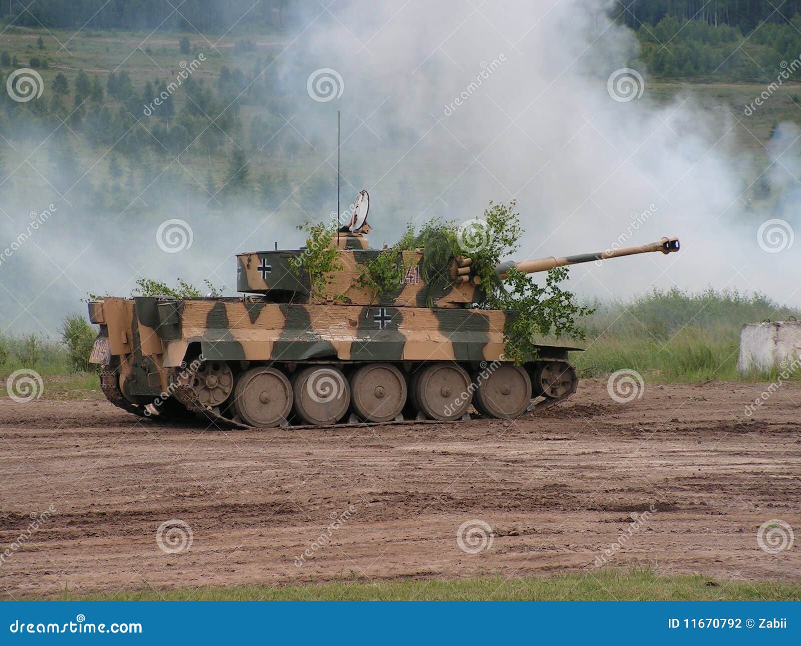 Tiger stock photo. Image of german, camouflage, mission - 11670792