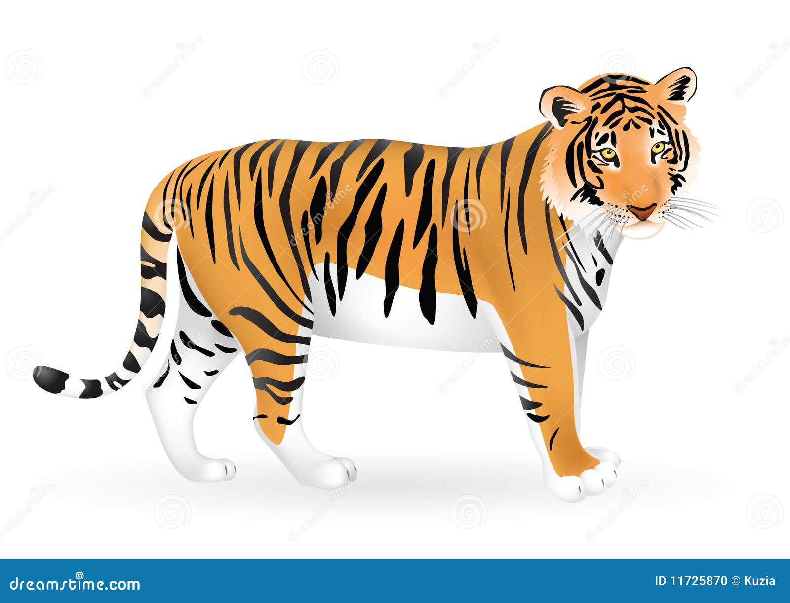 Tiger Cartoons, Illustrations & Vector Stock Images - 252874 Pictures ...