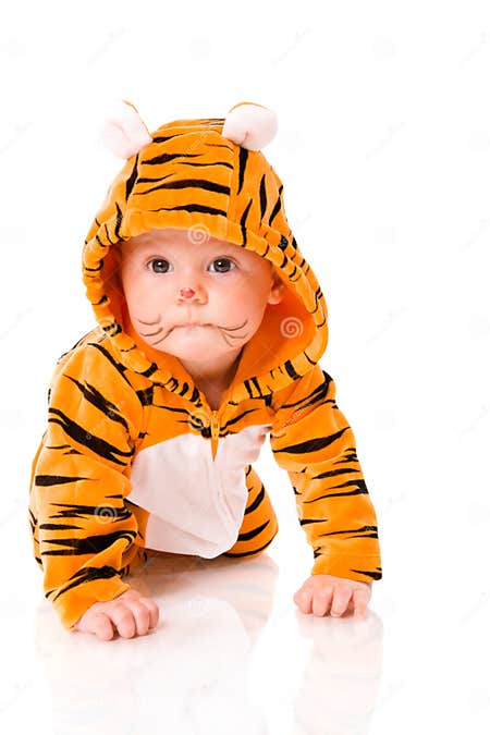 Tiger baby stock image. Image of isolated, male, activity - 10231223