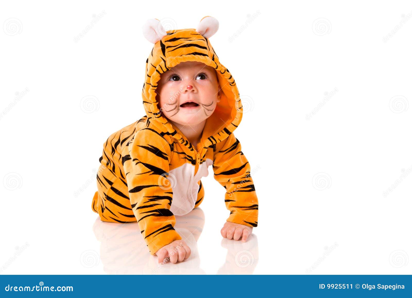 Thinking Tiger Stock Photo | CartoonDealer.com #27807792