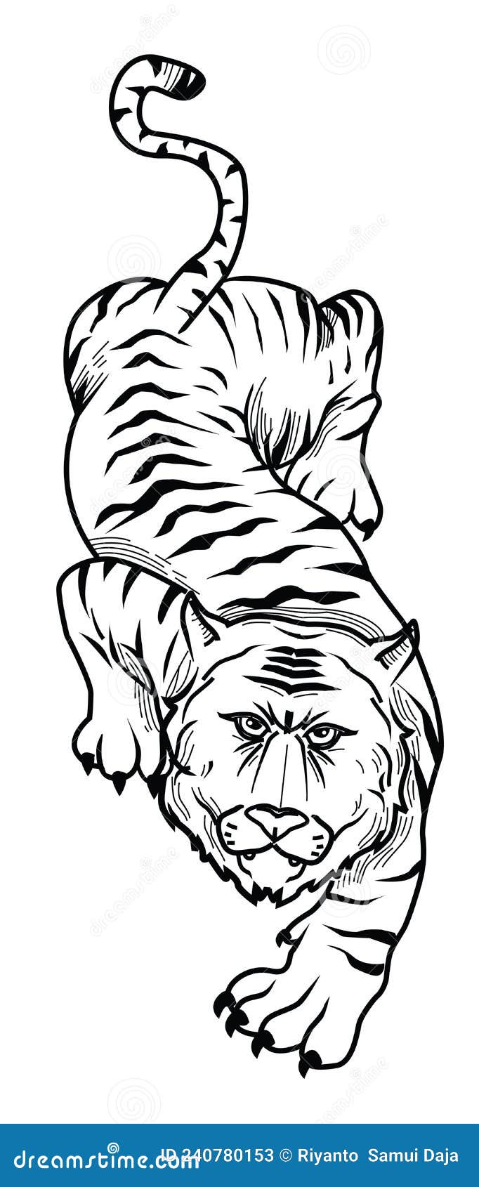 Beautiful Pattern Tiger Black and White Illustration Stock Vector ...