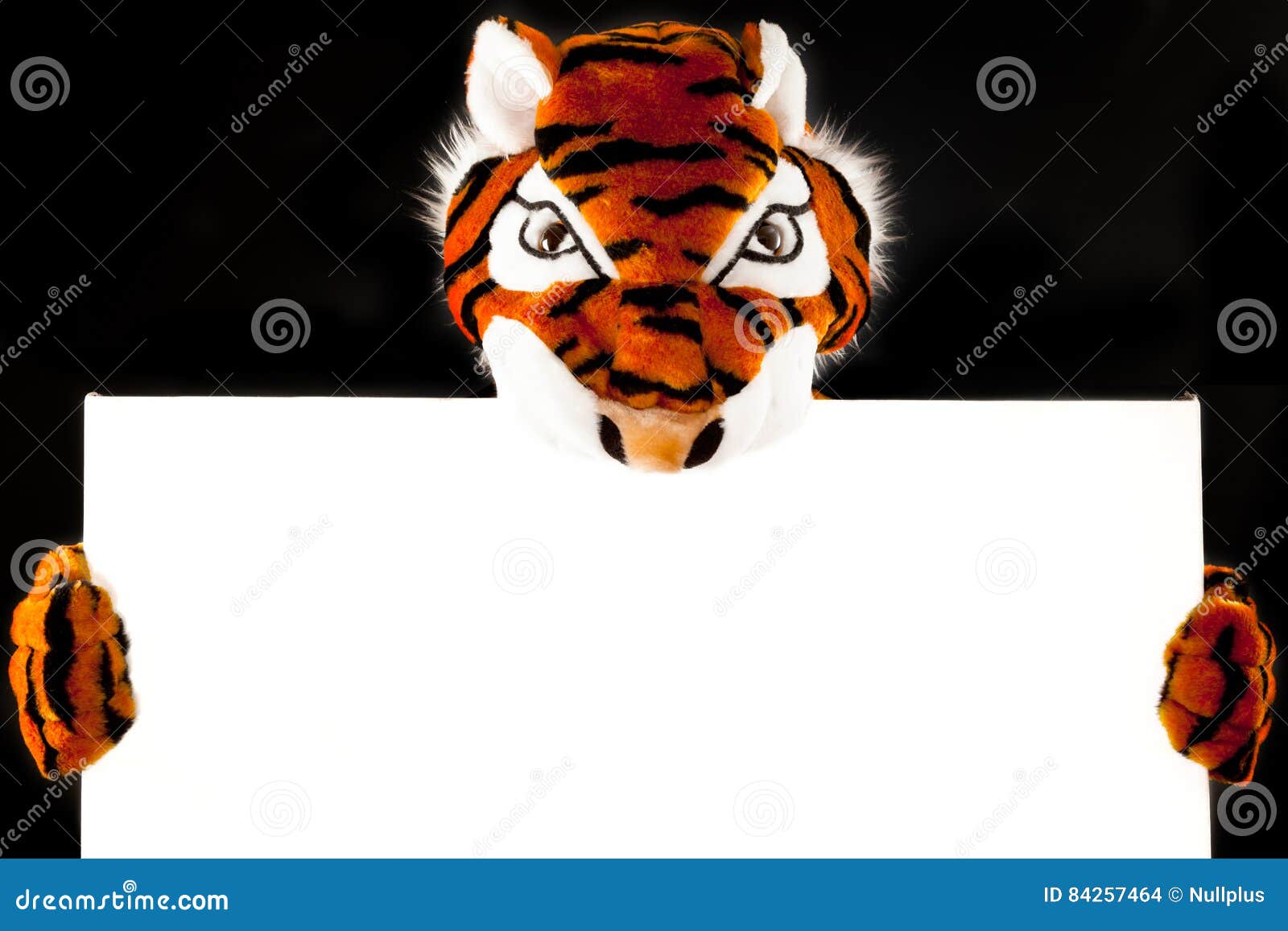 Tiger with Blank Sign foto de archivo. Imagen de apuntar - 84257464