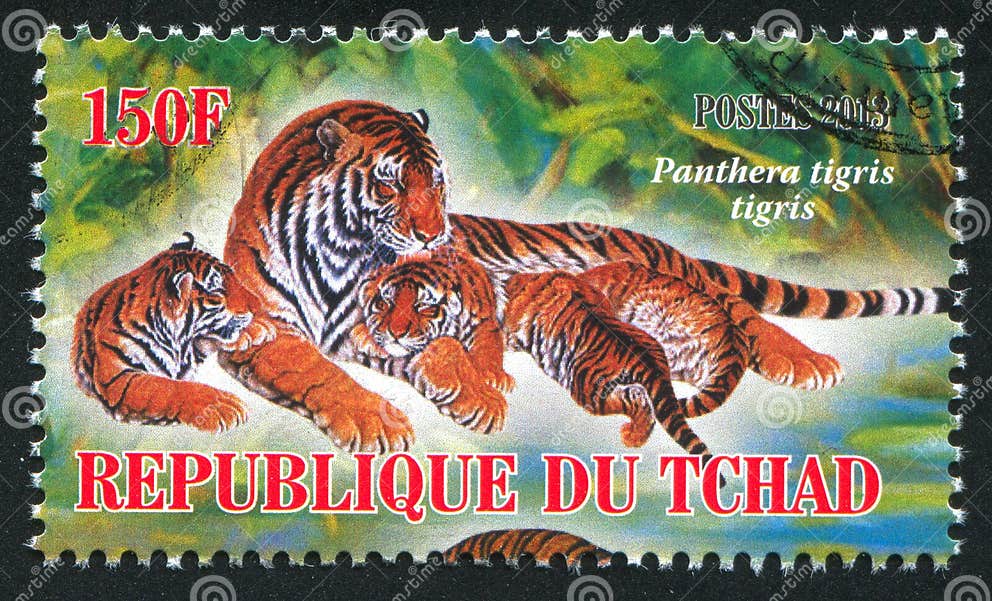 Tiger editorial photo. Image of hair, anger, orange - 314444691