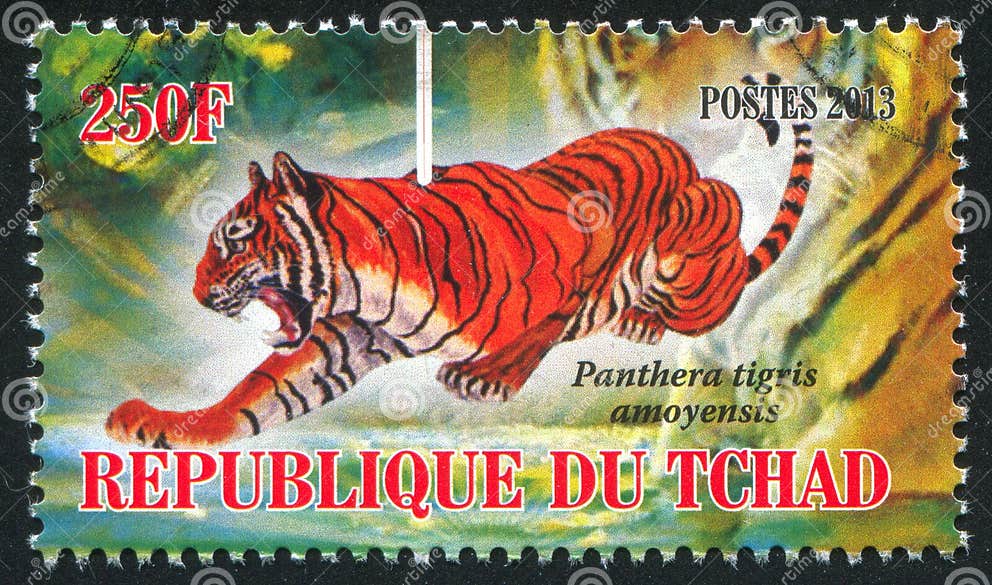 Tiger editorial image. Image of jungle, aged, hunter - 314444705