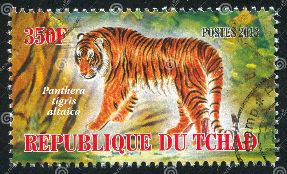 Tiger editorial stock image. Image of nature, ancient - 314444724