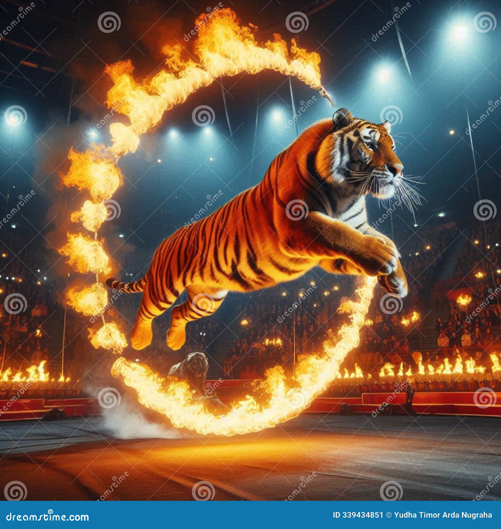 A Tiger in Circus with Fire in Circles Stock Image - Image of circle ...