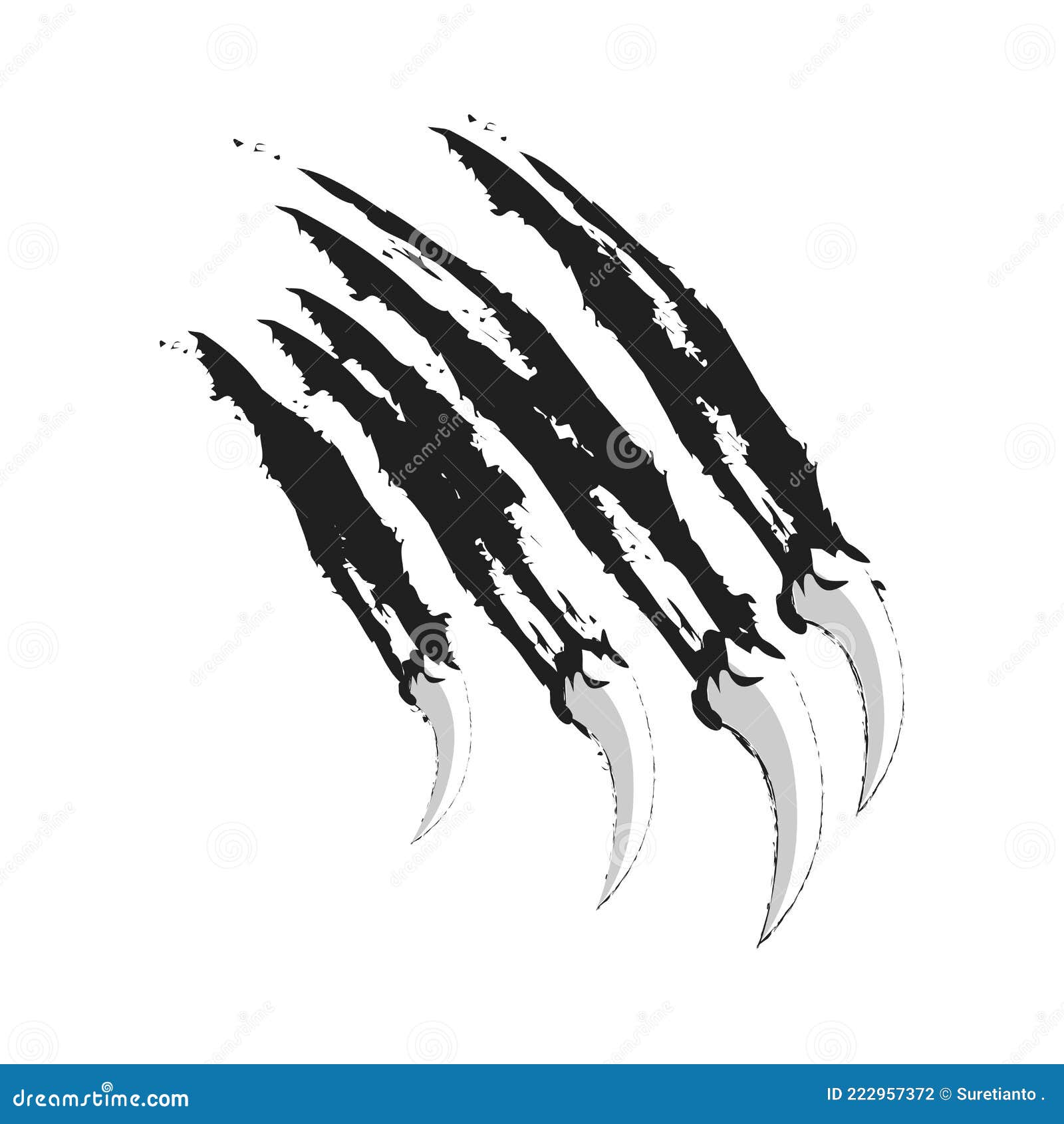 Tiger Claw Illustration Vector Drawing Stock Vector - Illustration of ...