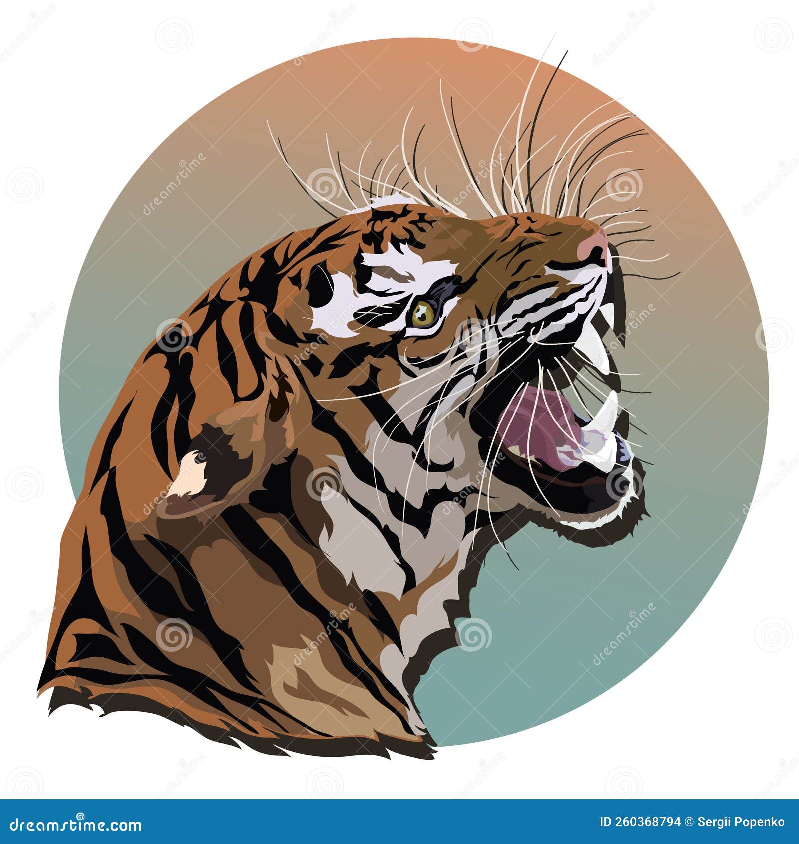 Tiger, Color Vector Illustration Stock Vector - Illustration of ...