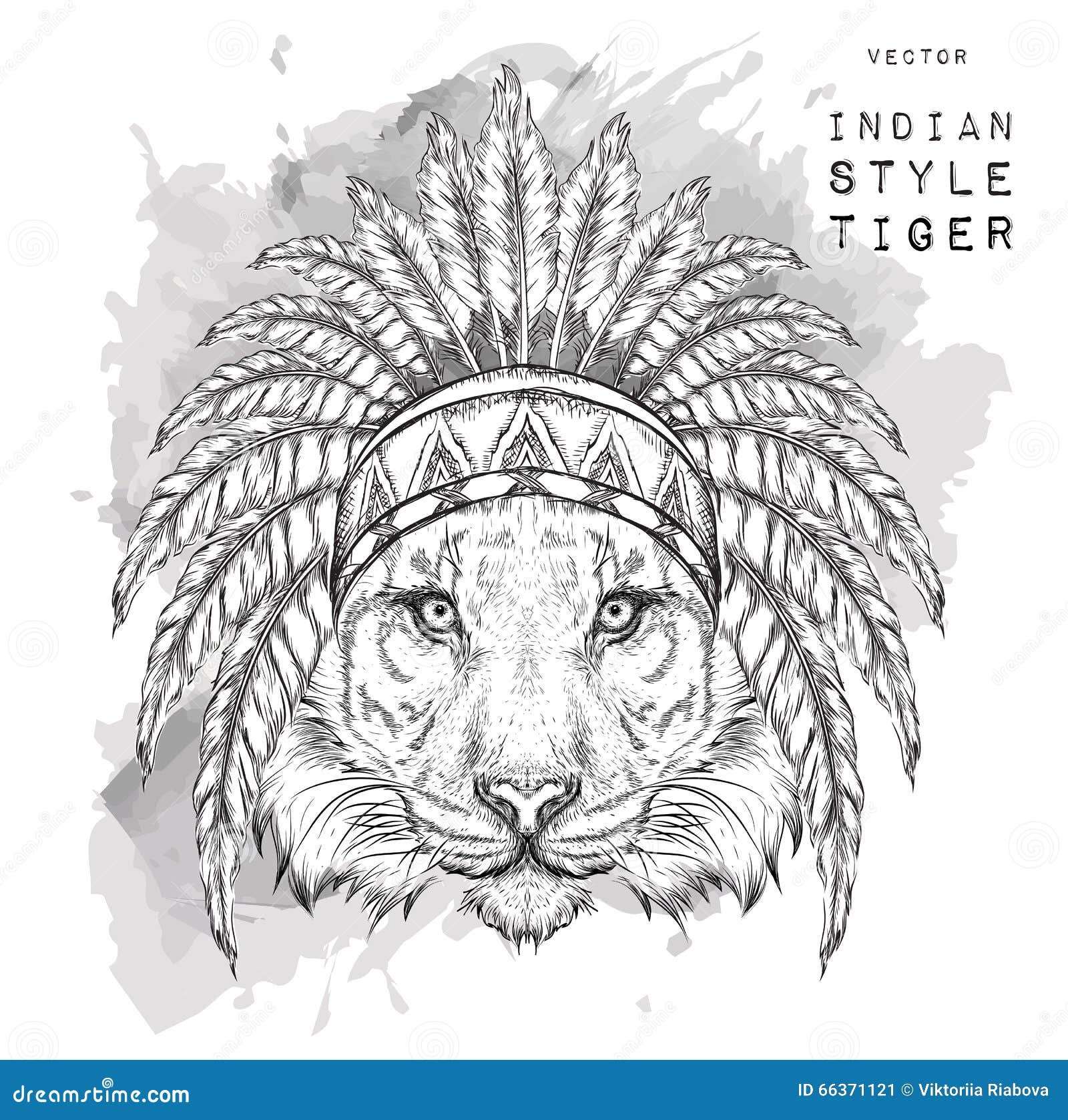 Tiger In The Colored Indian Roach. Indian Feather Headdress Of Eagle ...