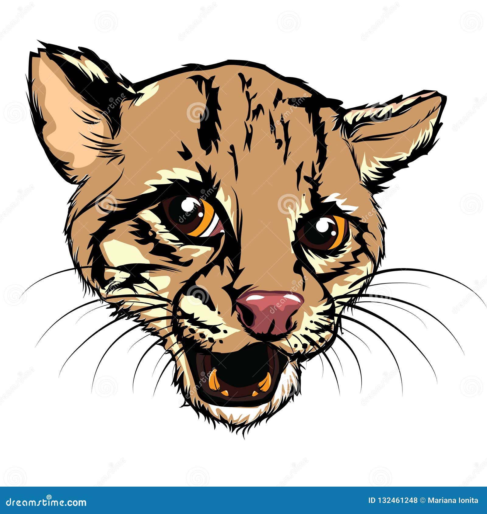 Tiger Cub Head Illustration Stock Vector - Illustration of logo, head ...
