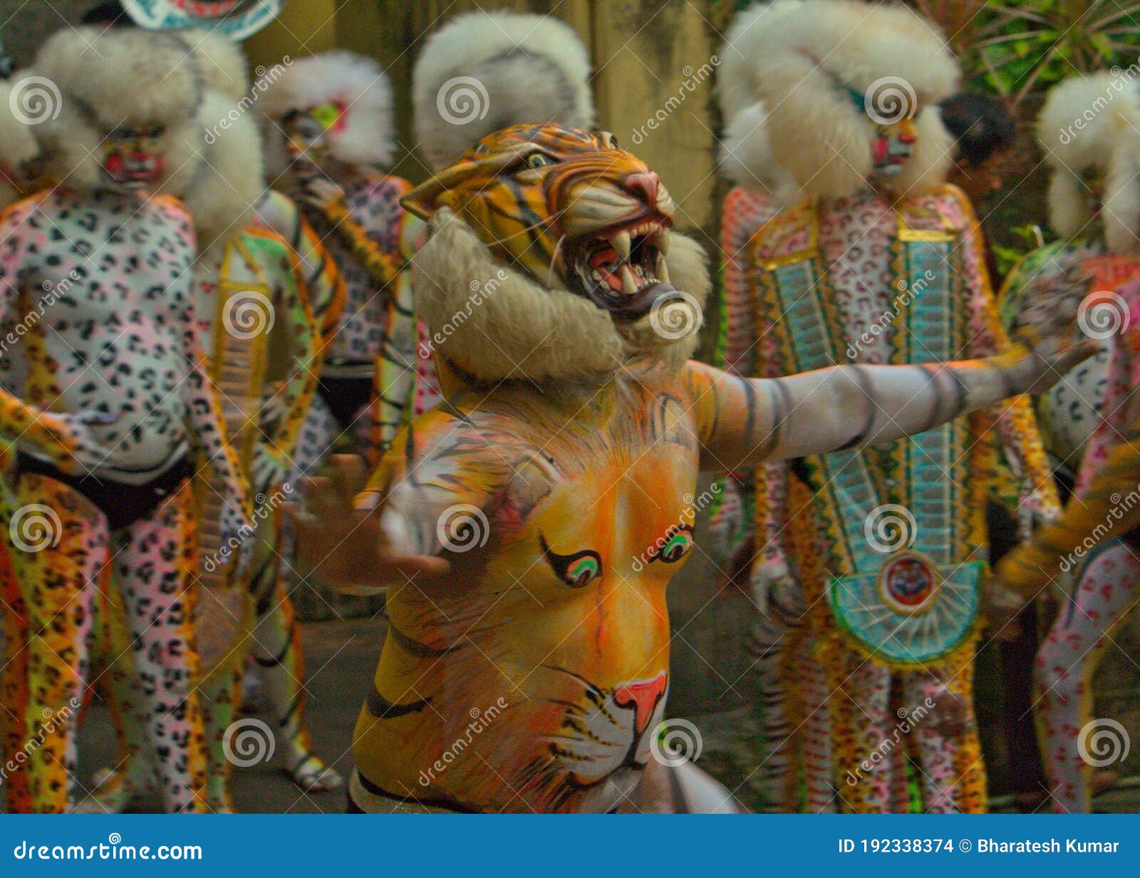 Tiger Dance Editorial Image | CartoonDealer.com #54705022