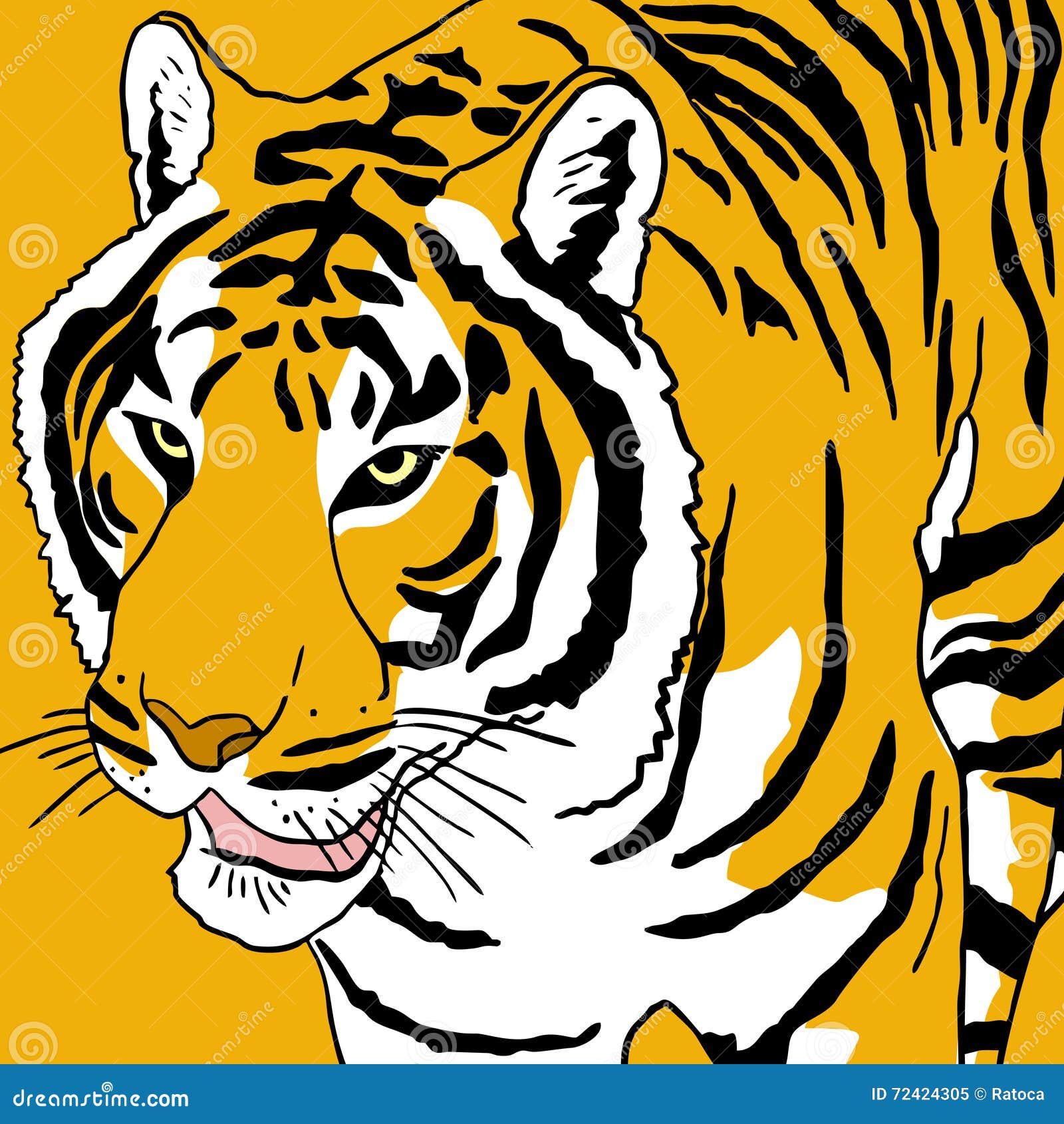 Tiger draw stock vector. Illustration of wild, face, expression - 72424305