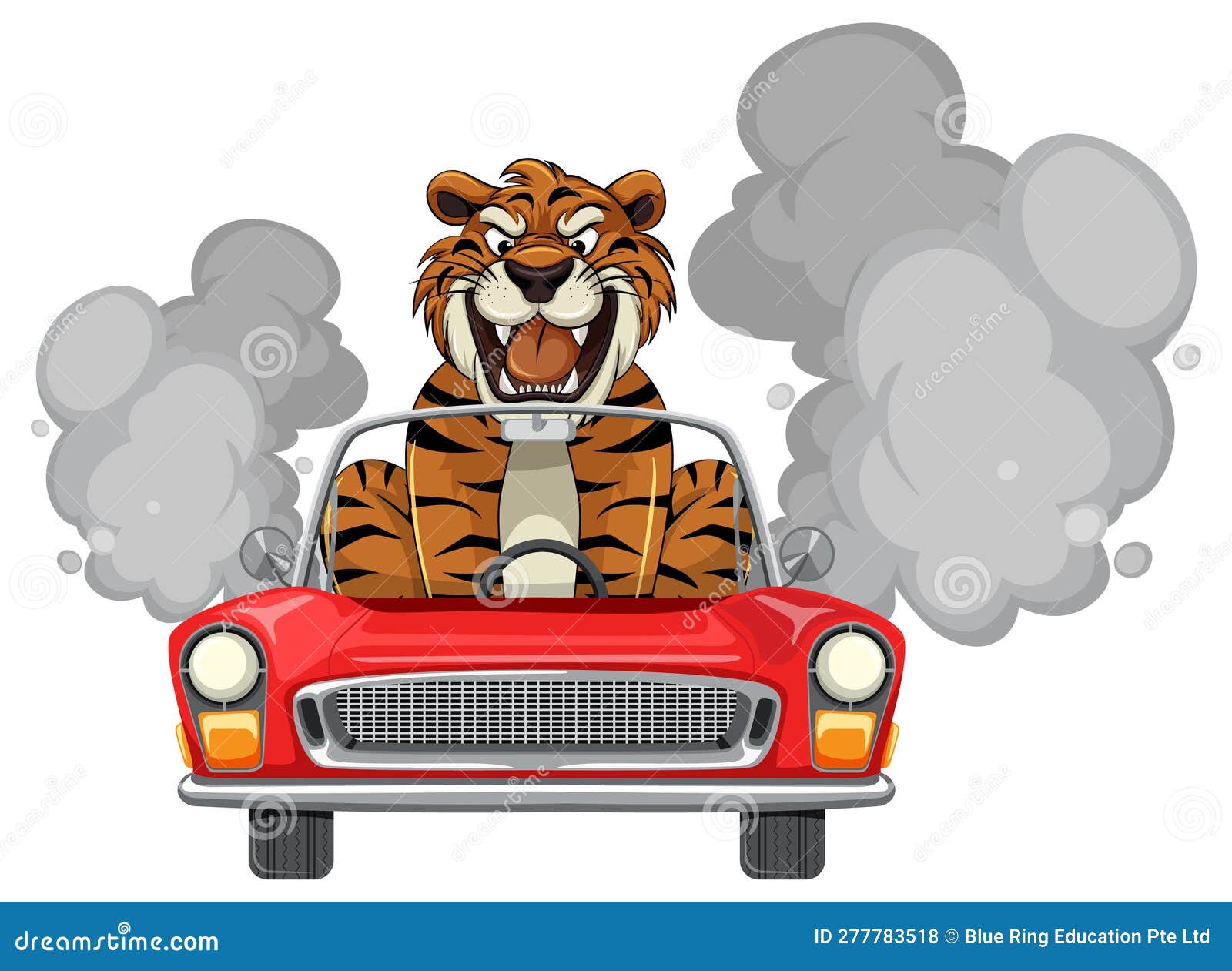 Tiger Driving a Classic Car Stock Vector - Illustration of fierce ...