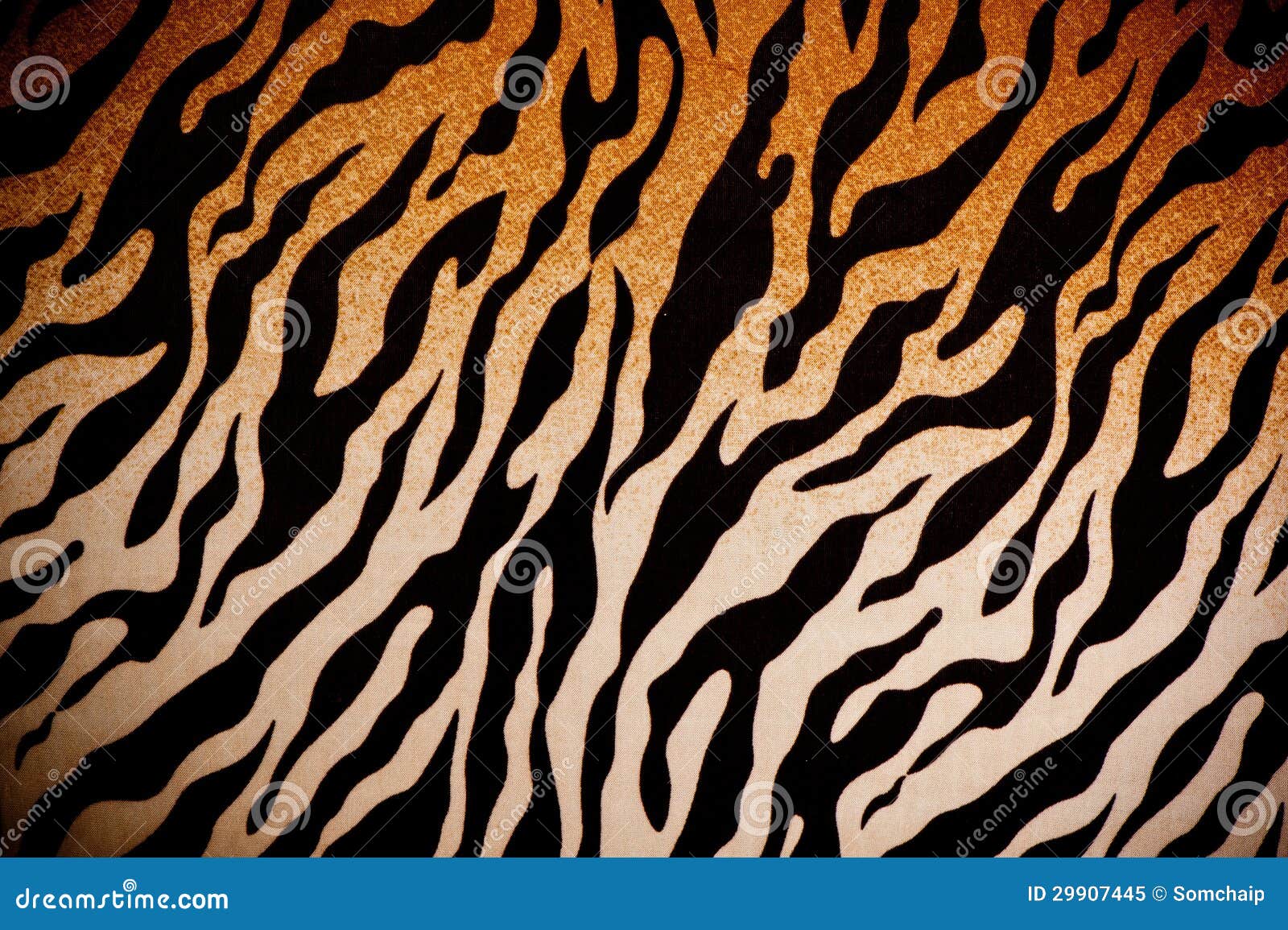 1,751 Tiger Cloth Photos - Free & Royalty-Free Stock Photos from Dreamstime