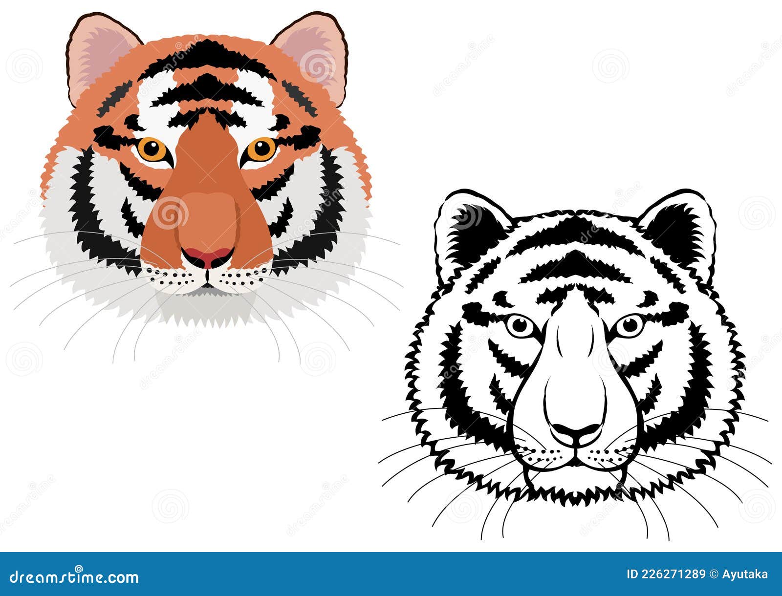 2 Tiger Faces, with and without Colors Stock Vector - Illustration of ...