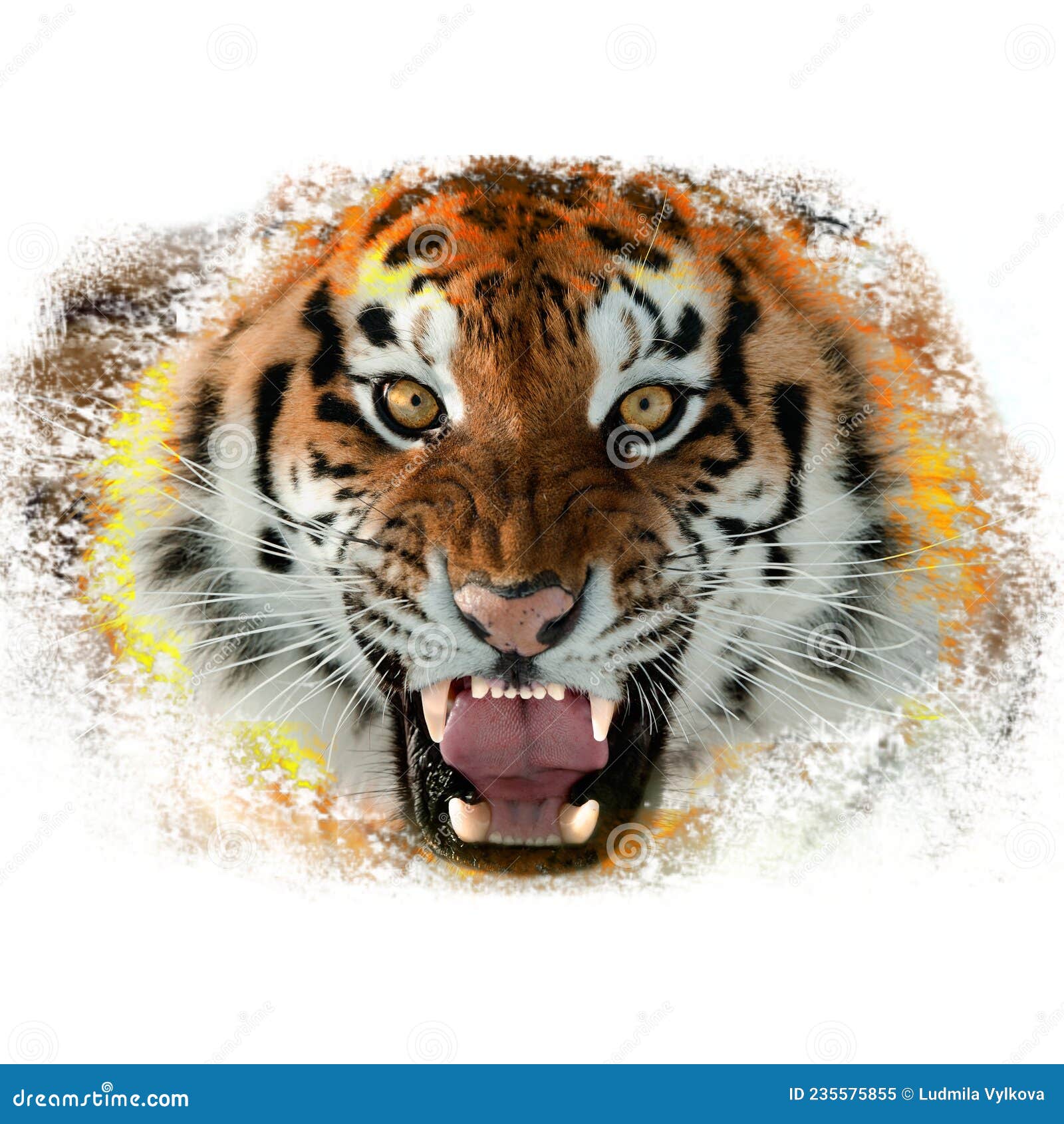 Tiger on Fire Symbol of the Year Stock Vector - Illustration of fearful ...