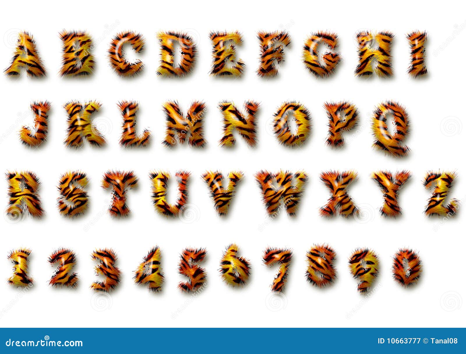 Tiger font stock illustration. Illustration of text, calligraphic ...