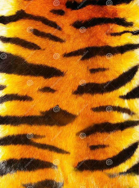 Tiger fur stock photo. Image of exotic, close, decor, asia - 3905146