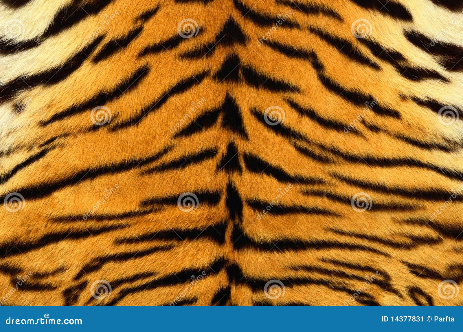 Tiger fur leather texture stock image. Image of orange - 14377831