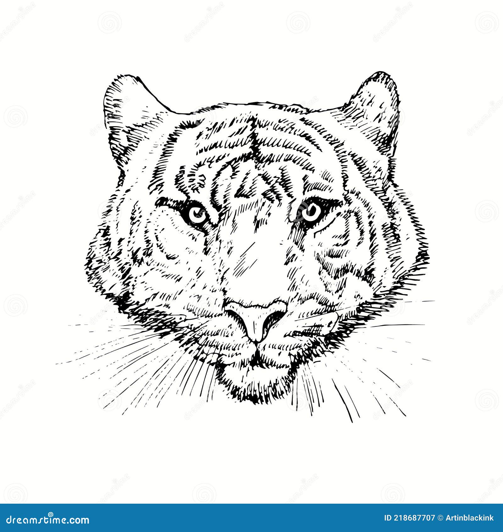 Tiger Head Front View. Ink Black and White Drawing Stock Vector ...
