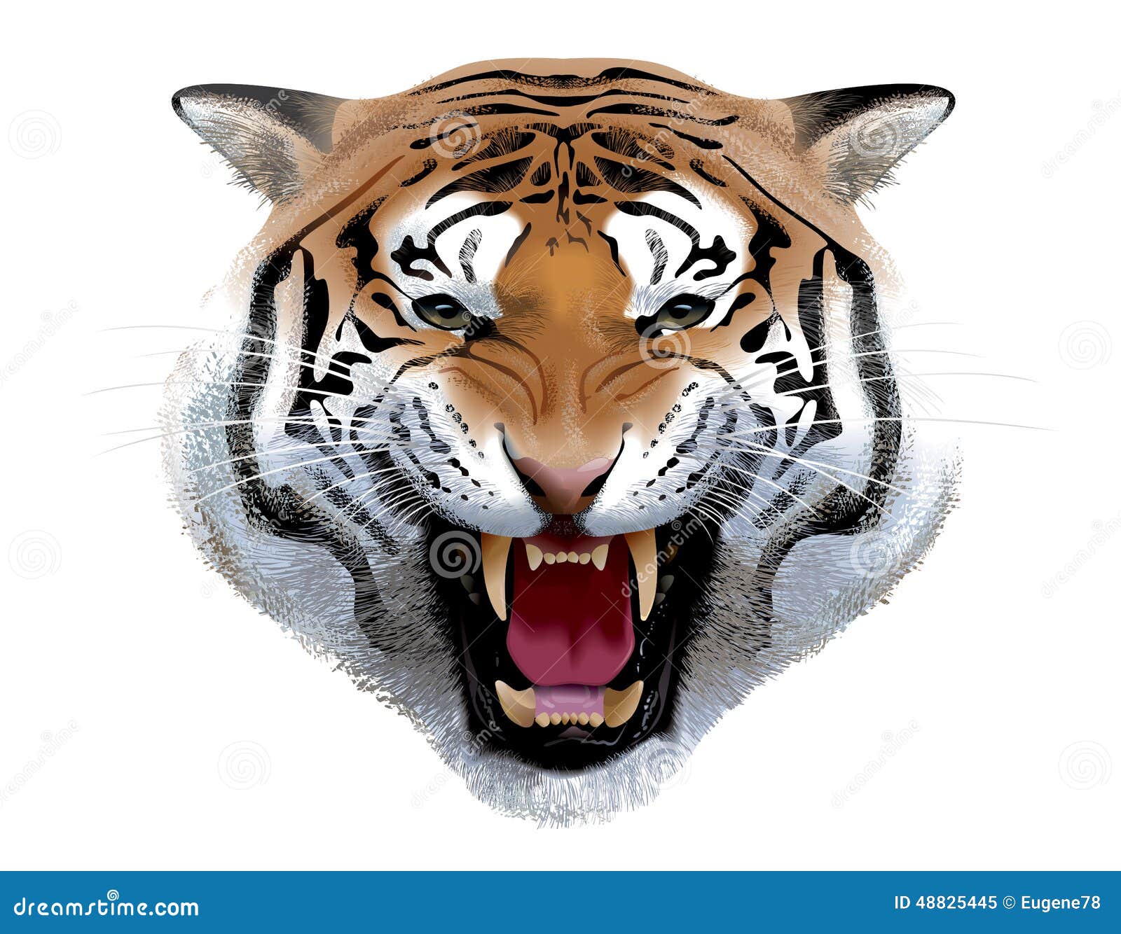 Tiger Head. Illustration. stock vector. Illustration of muscular - 48825445