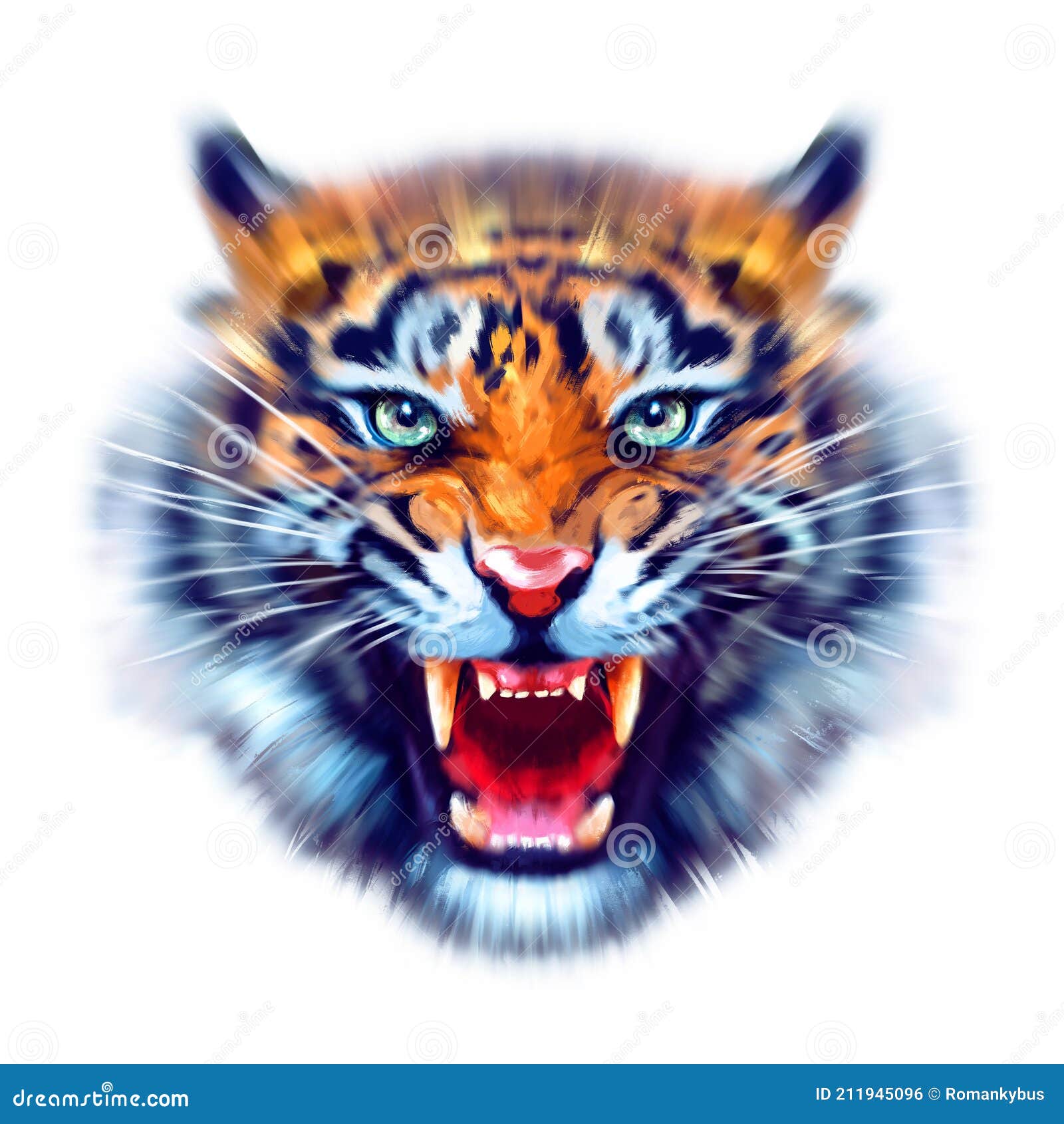Tiger Head With An Open Mouth And Bared Fangs, Color Image Isolated On ...