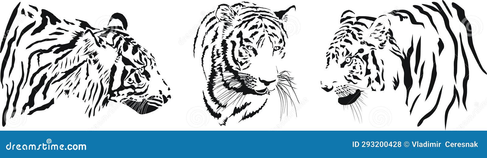 Tiger Heads Black And White Vector. Silhouette Svg Shapes Of Tigers ...
