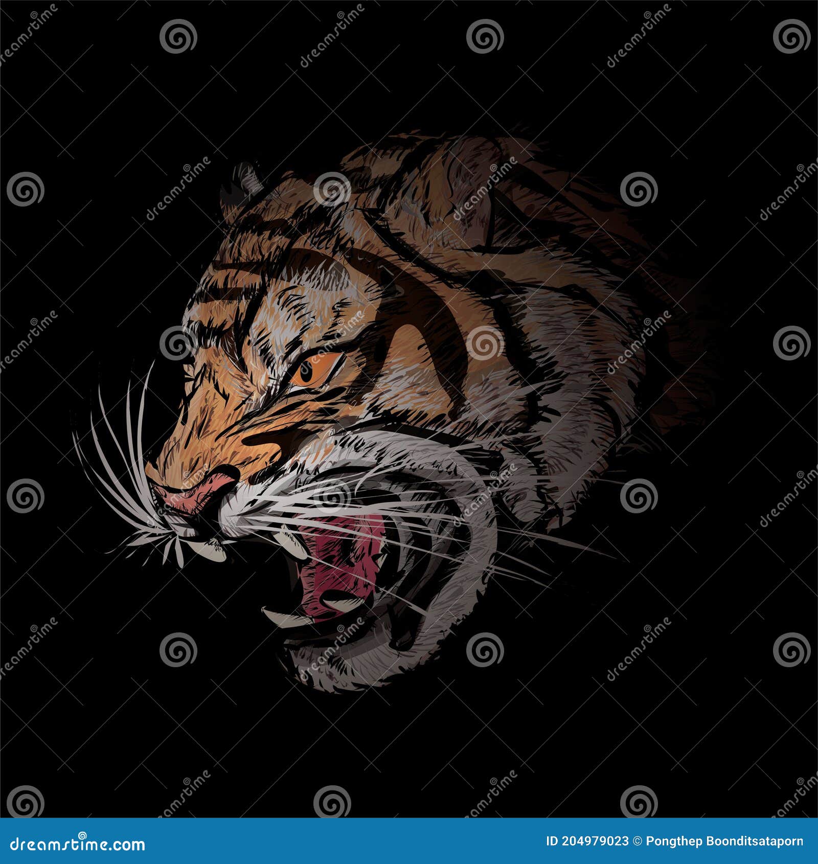Tiger hidden in the dark stock vector. Illustration of hide - 204979023