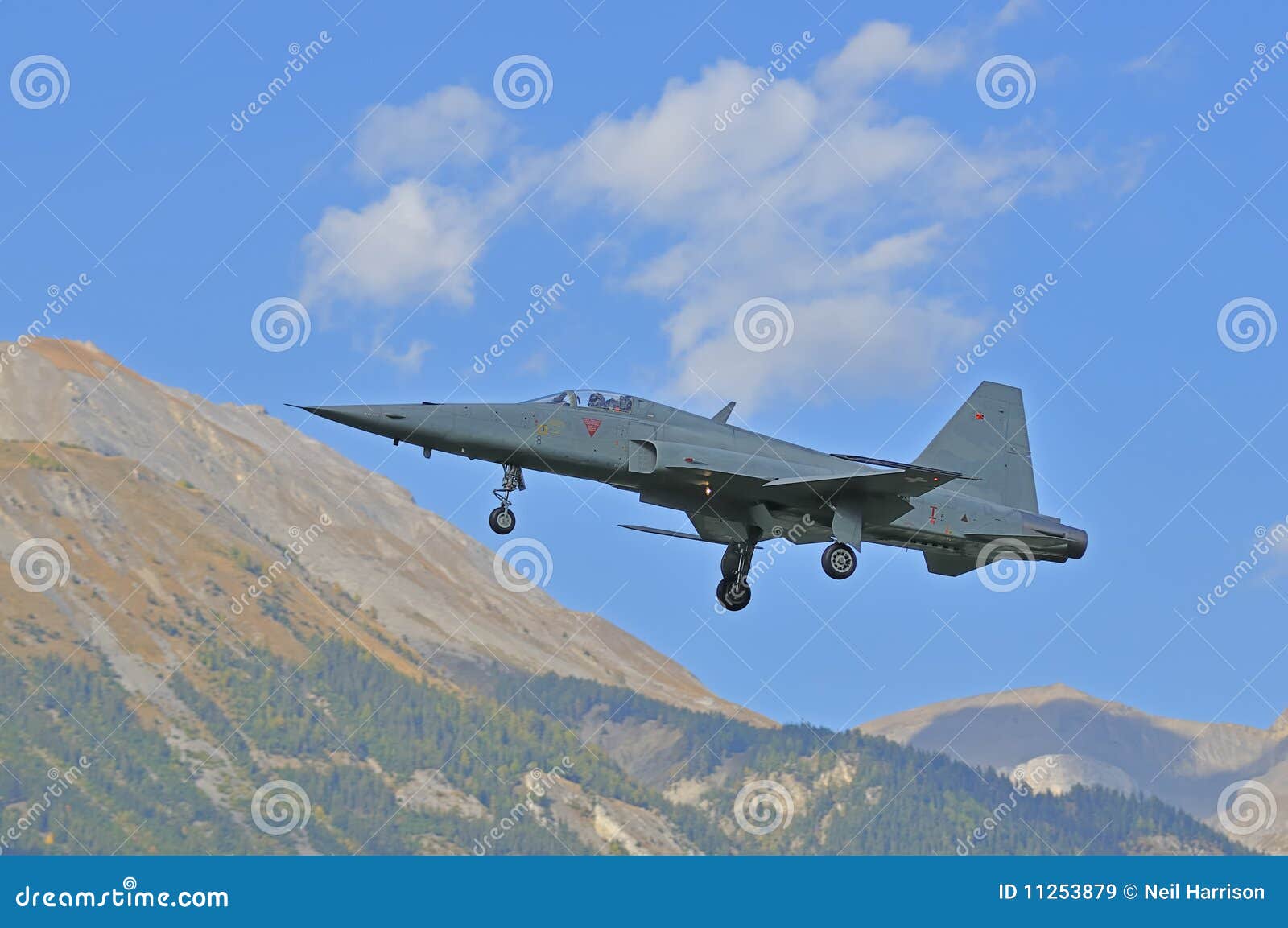 Tiger II fighter Jet stock image. Image of mountains - 11253879