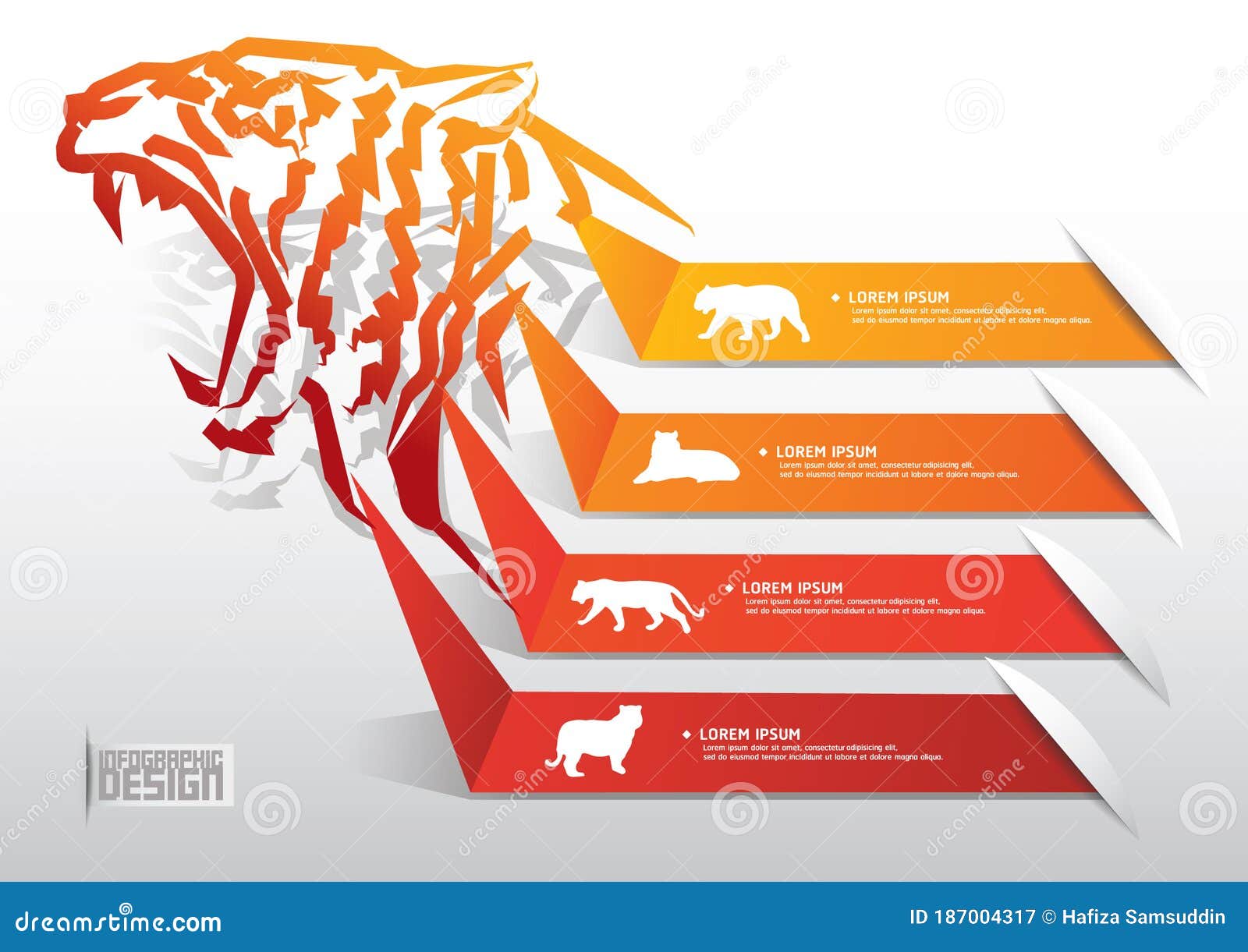 Tiger Infographic. Vector Illustration Decorative Design Stock ...