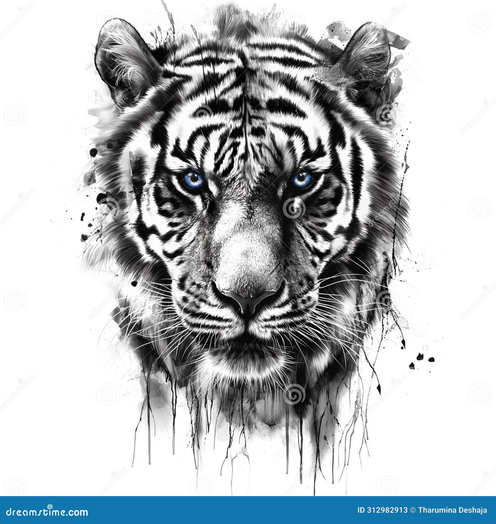 Tiger Isolated on White Background Stock Illustration - Illustration of ...