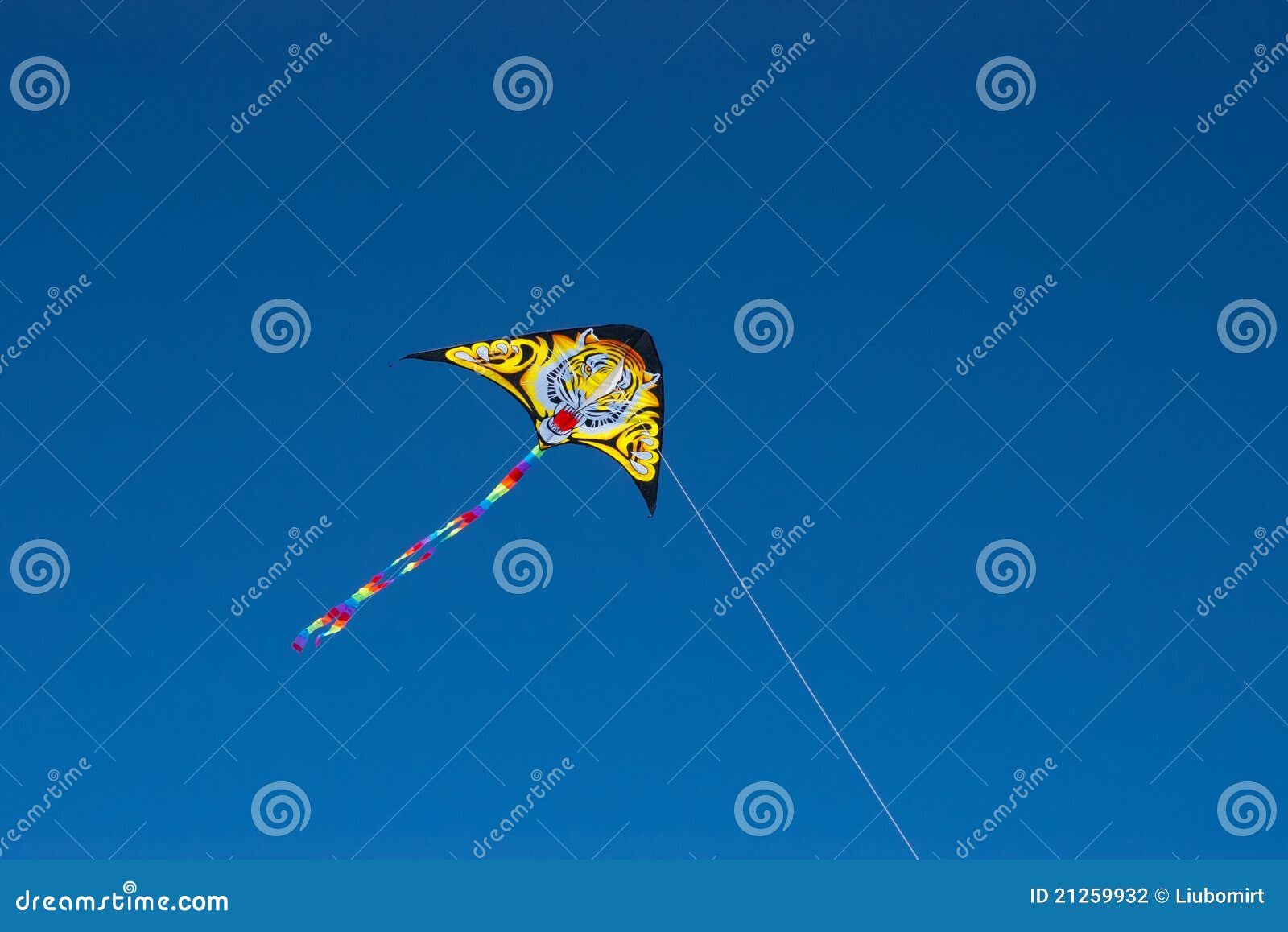 Tiger kite stock photo. Image of high, tiger, leisure - 21259932