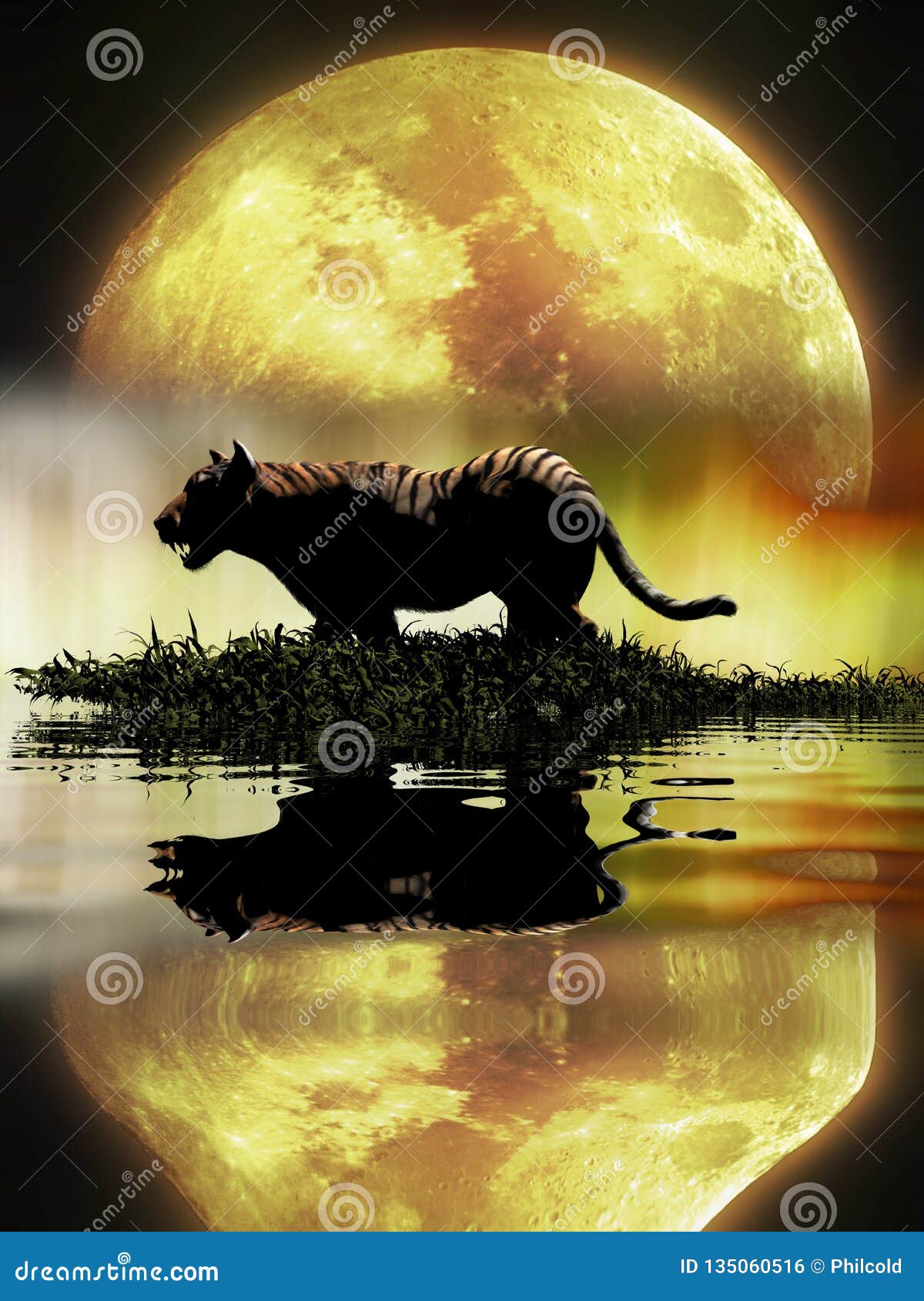 Tiger in the Lagoon Under the Moon Stock Illustration - Illustration of ...