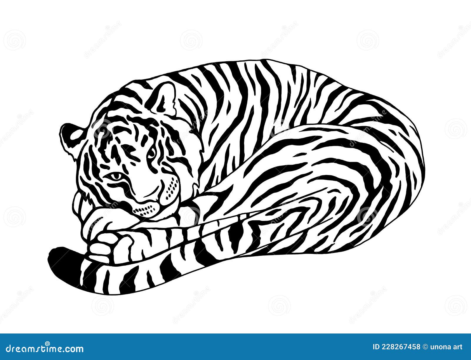 Tiger Lies Curled Up. Black and White Illustration Stock Illustration ...