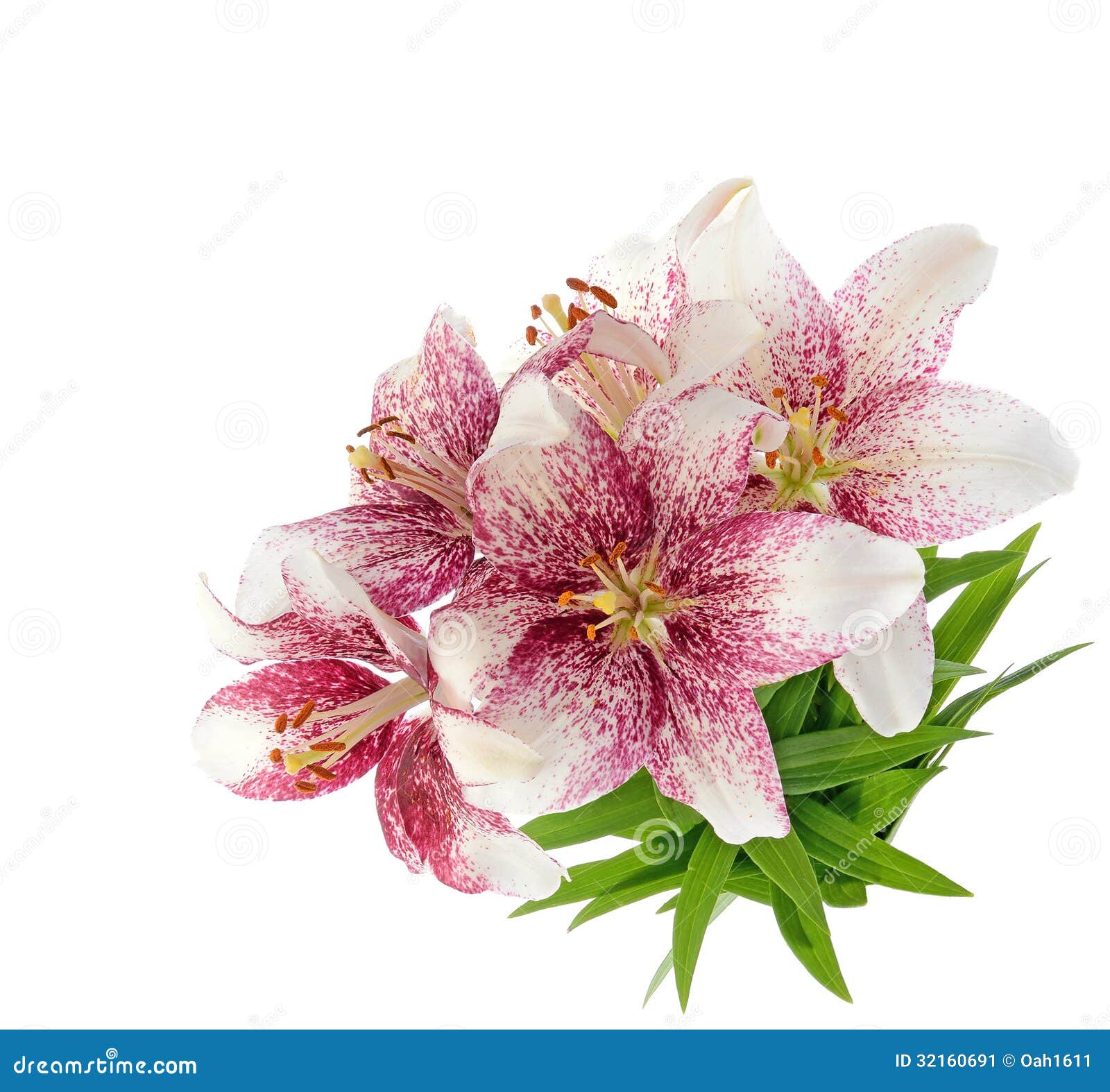 White Tiger Lily Flower Bouquet