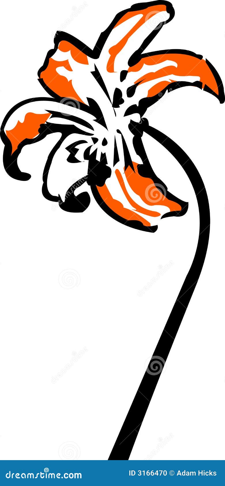 Tiger Lilly Vector Illustration | CartoonDealer.com #3166470