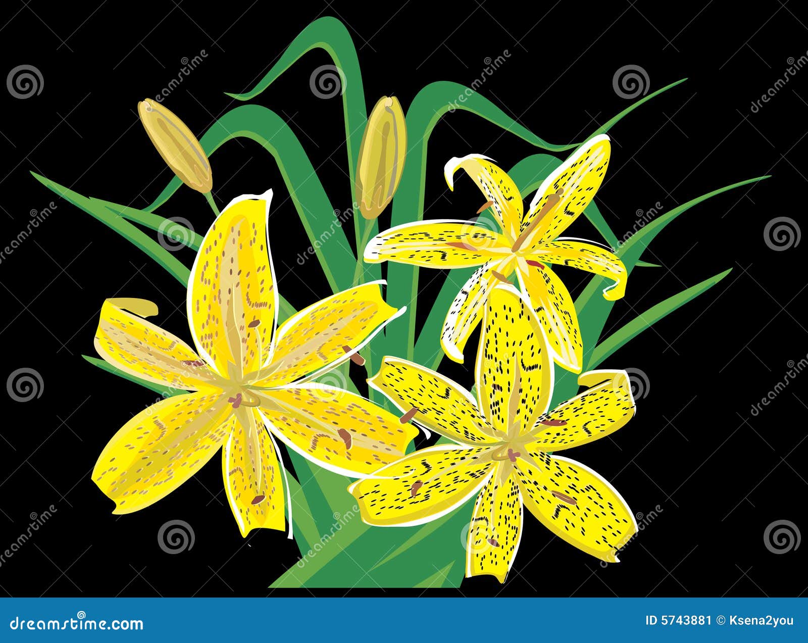 Tiger Lilly Vector Illustration | CartoonDealer.com #3166470
