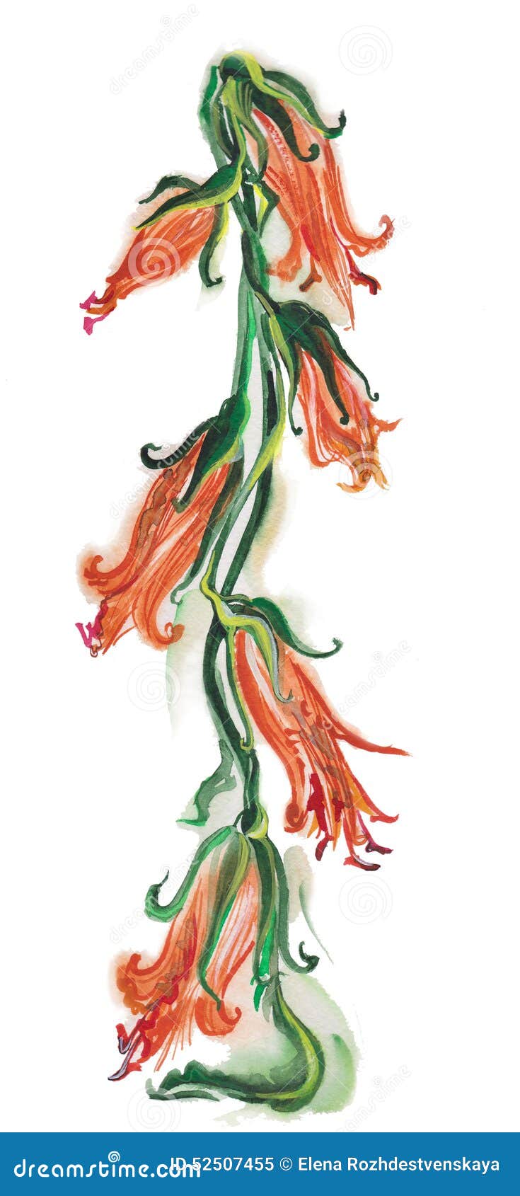 Tiger Lilly Vector Illustration | CartoonDealer.com #3166470