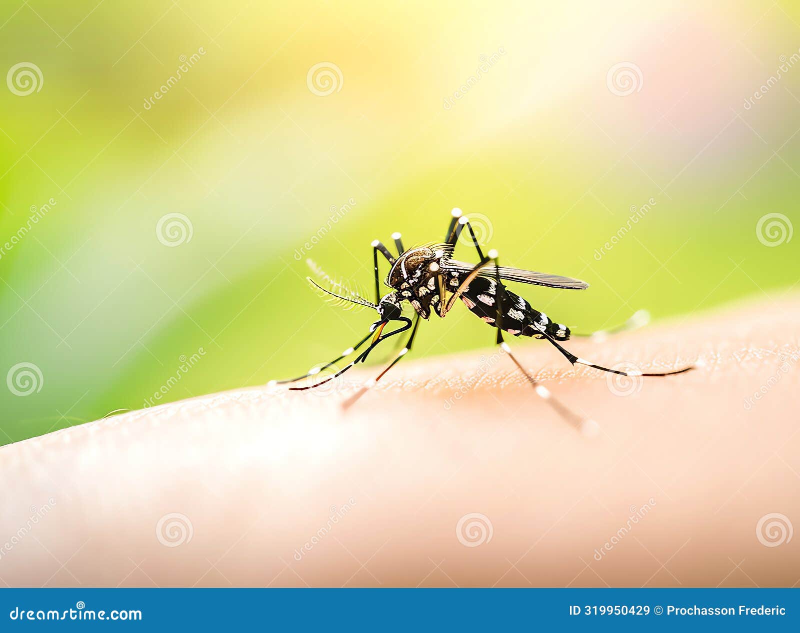 Tiger Mosquito, AI Generated Stock Image - Image of tiger, insect ...