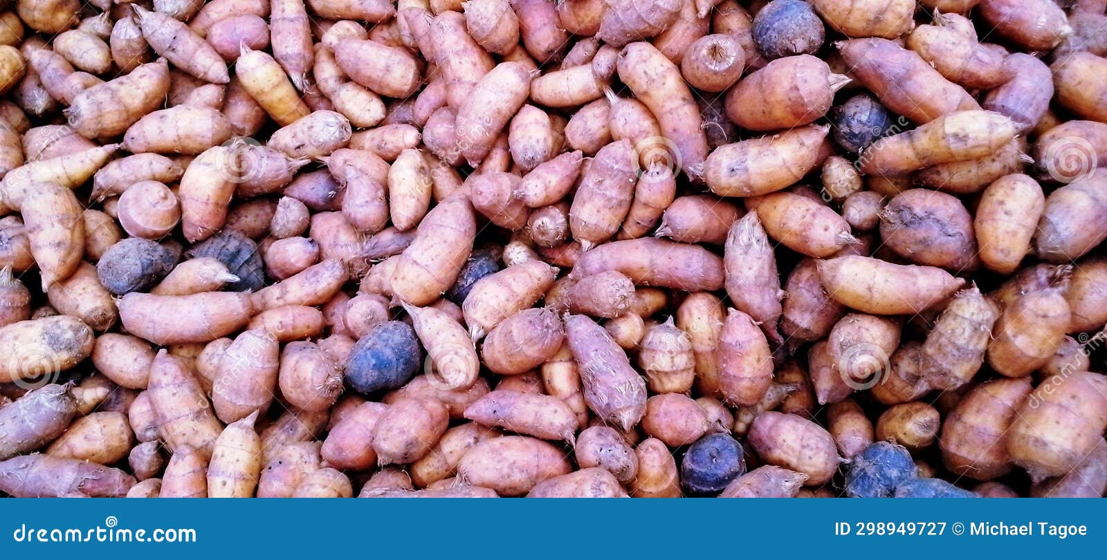 Fresh Cultivated Tiger Nuts Stock Image - Image of organic, vertical ...