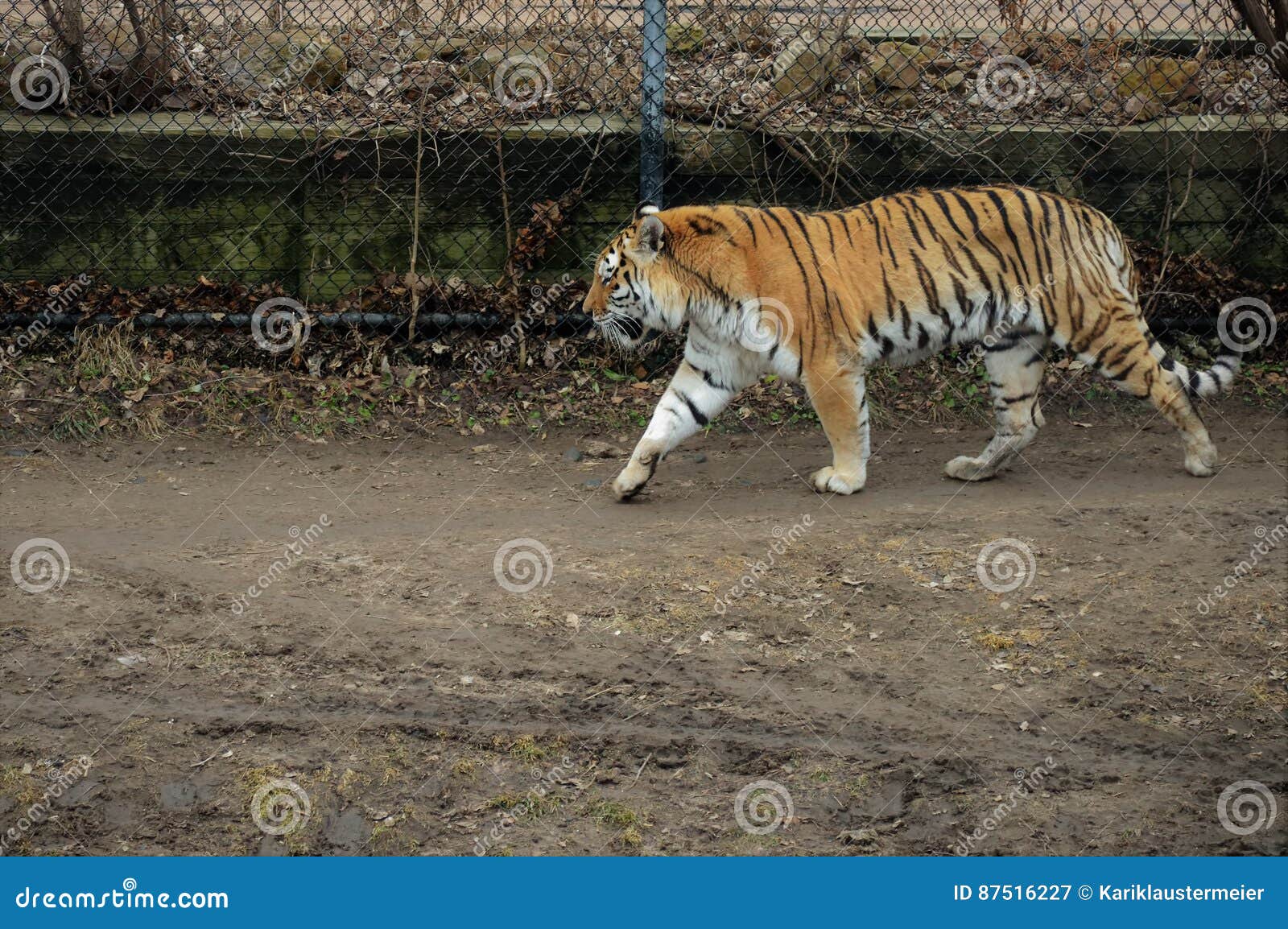 Pacing Icon Stock Photos - Free & Royalty-Free Stock Photos from Dreamstime