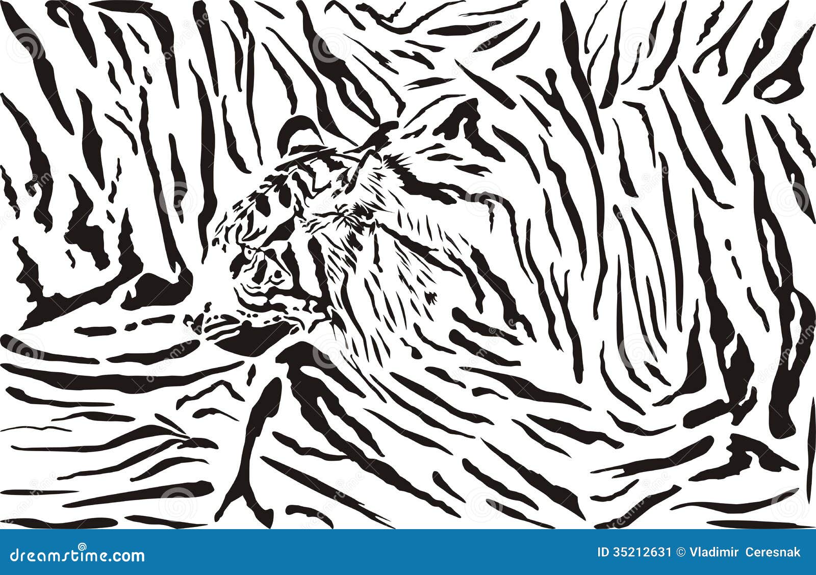 Tiger pattern background stock vector. Illustration of decoration ...