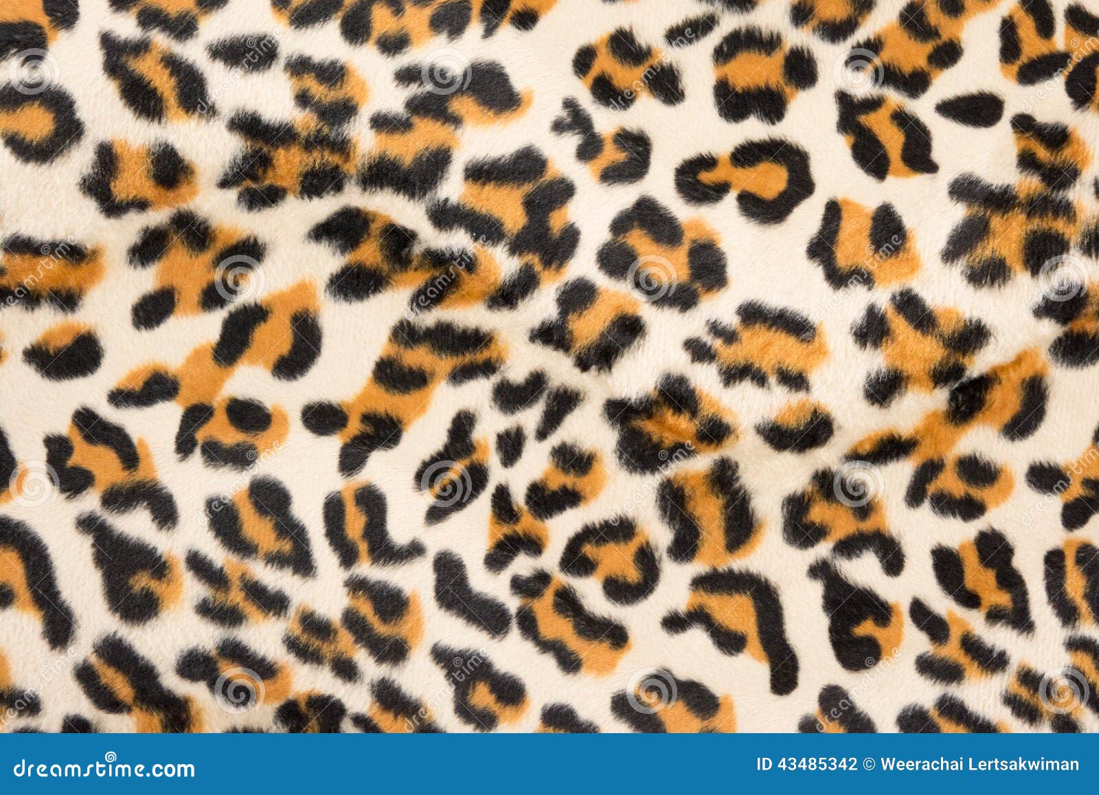 Tiger Pattern Royalty-Free Stock Photography | CartoonDealer.com #31281227